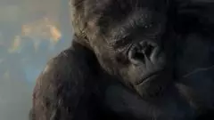 Monkey Business: D'Héich an d'Déifste vu King Kong's 84 Joer a Filmer