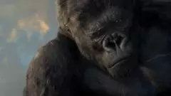 Perniagaan Monyet: Keterlaluan dan Keterlaluan Dalam Filem King Kong 84 Tahun