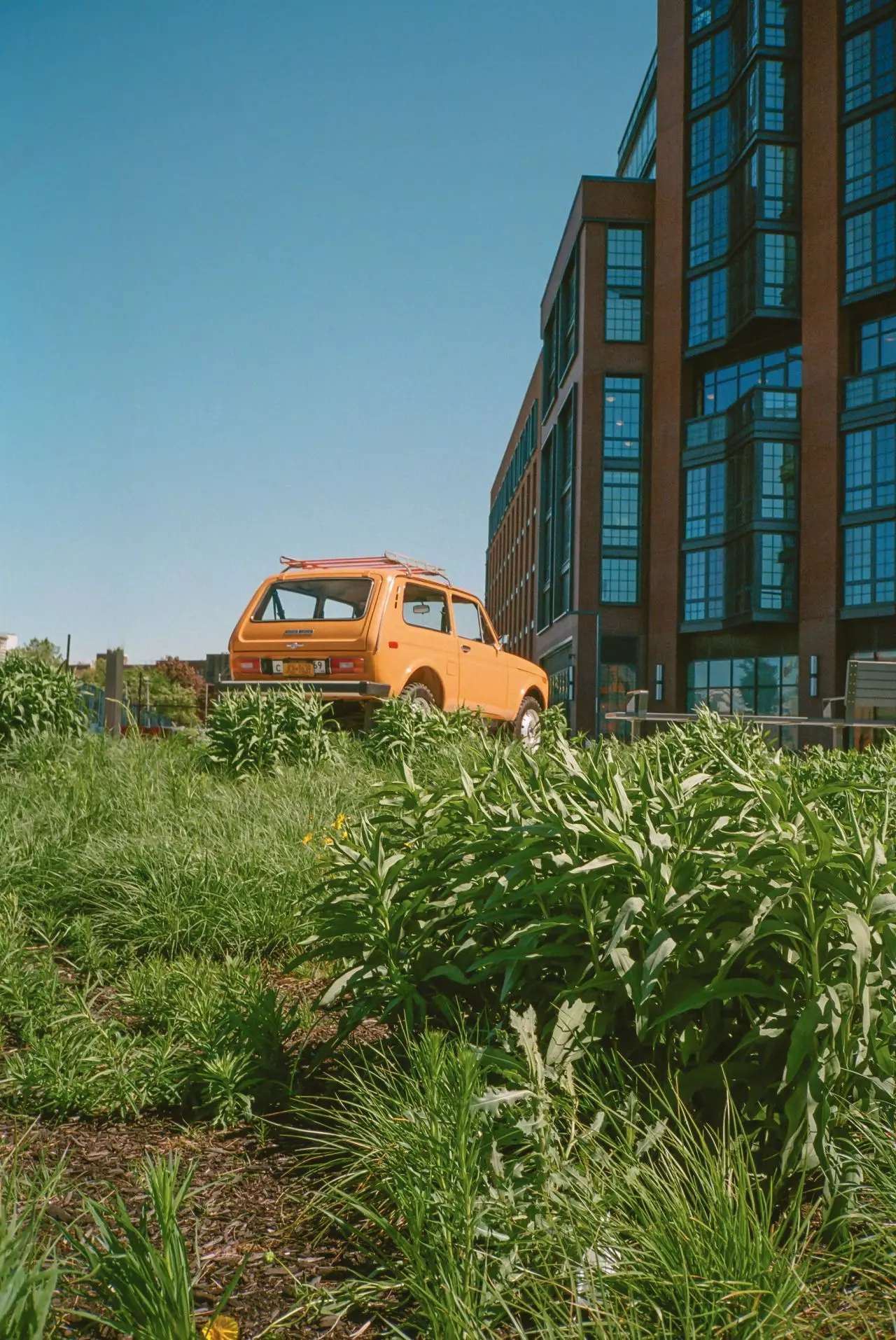 Pale e ka morao ea Orange e Khanyang Soviet 4×4 Rolling through Brooklyn