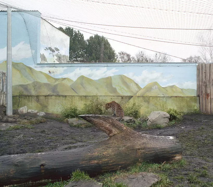 Scenele ciudate și deprimante pe care grădinile zoologice le construiesc pentru animalele lor
