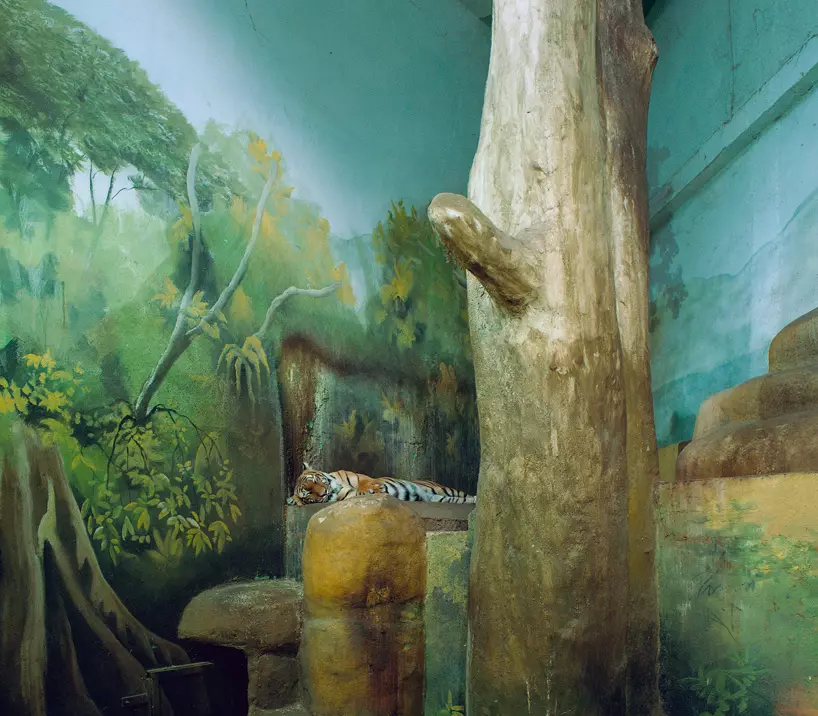 Странные, депрессивные декорации, которые зоопарки строят для своих животных