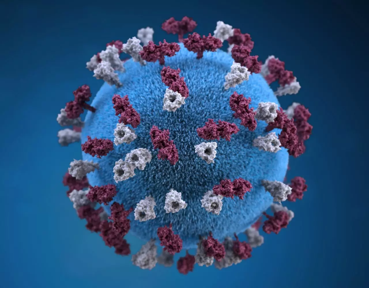 वायरस हमसे सवाल करते हैं कि जिंदा रहने का क्या मतलब है
