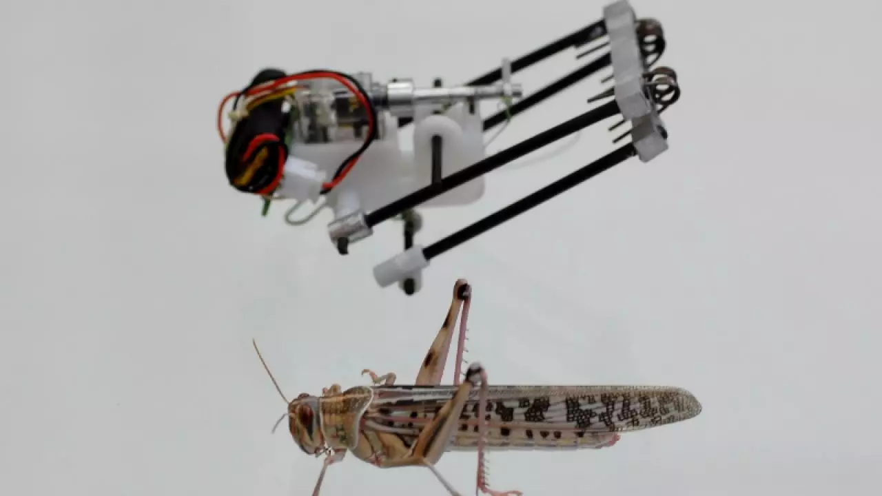 Този робот от скакалци скача на 3 метра височина и може да претърси зони на бедствие