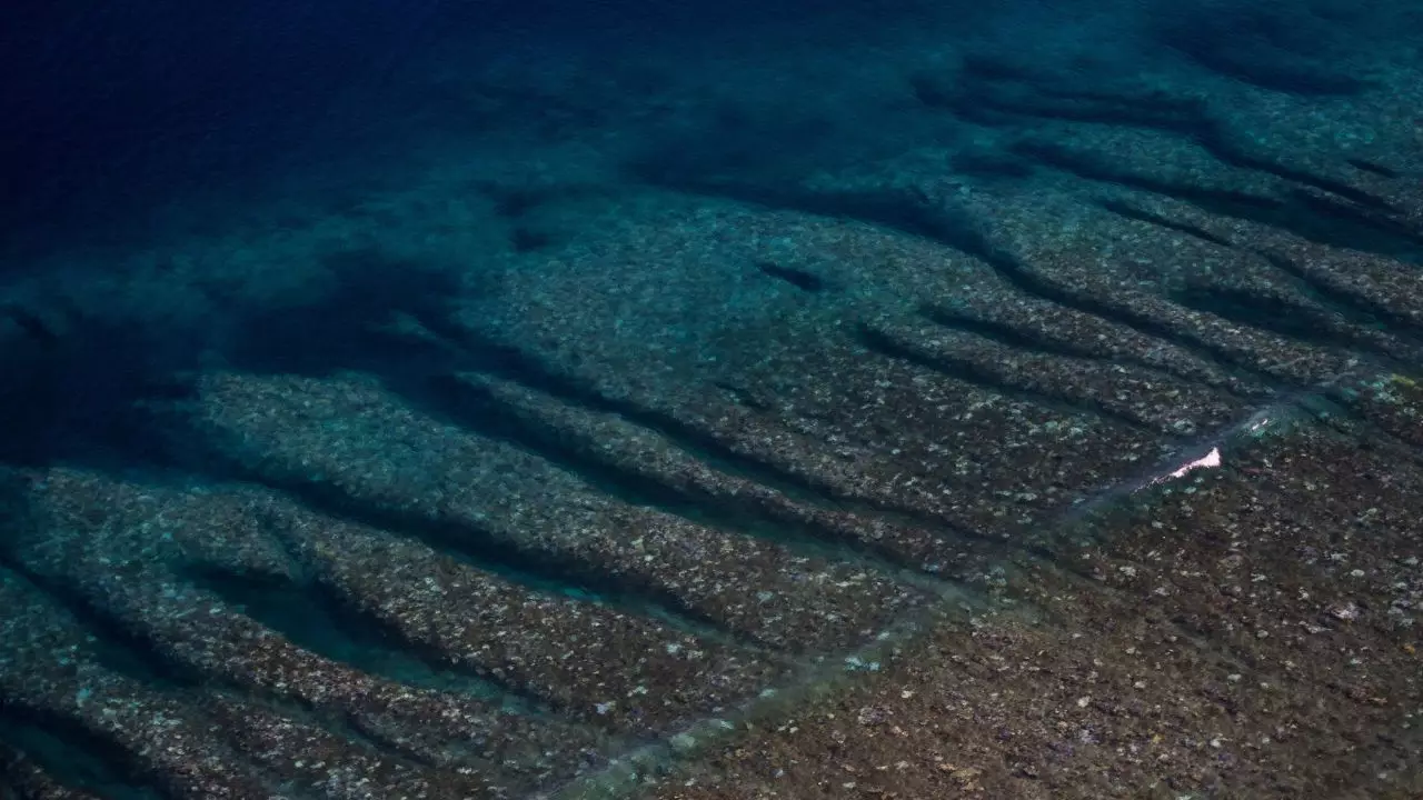 Een nachtmerrie ontvouwt zich in het Great Barrier Reef
