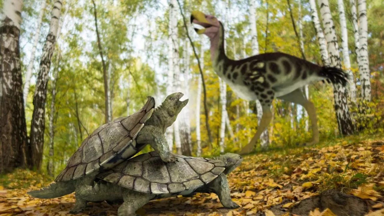 Rùa đất ‘kỳ quái’ bằng cách nào đó đã sống sót sau cuộc tuyệt chủng hàng loạt giết chết loài khủng long