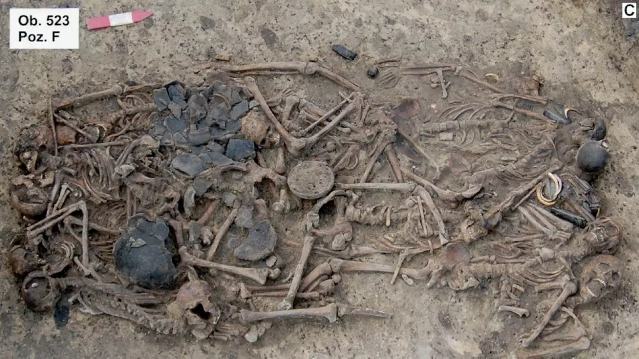 5000-летняя могила показывает массовое убийство семьи бронзового века
