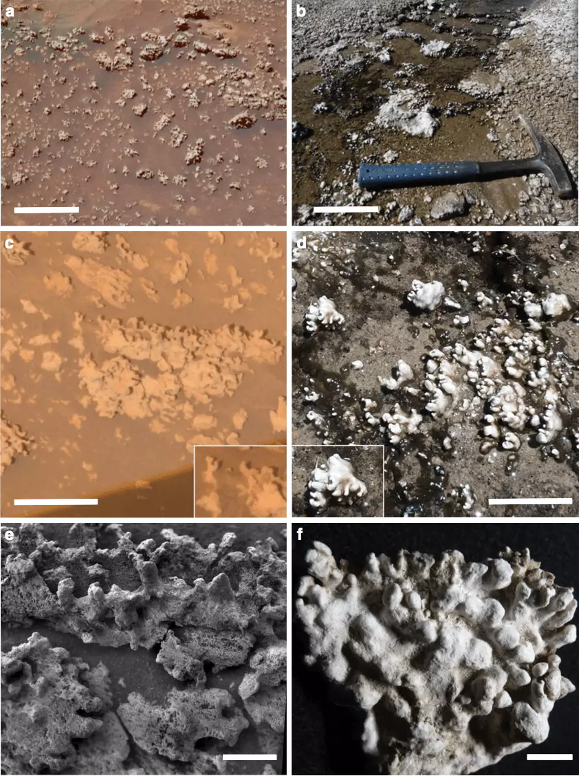 NASA fann ekki líf á Mars en fann eitthvað mjög flott