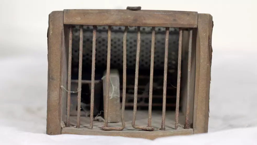 De 155 jier âlde antike mûzeval fan in museum fangt noch knaagdieren