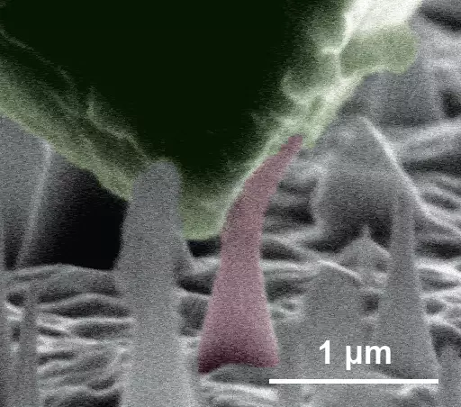 Ecco come gli scienziati hanno piegato i diamanti