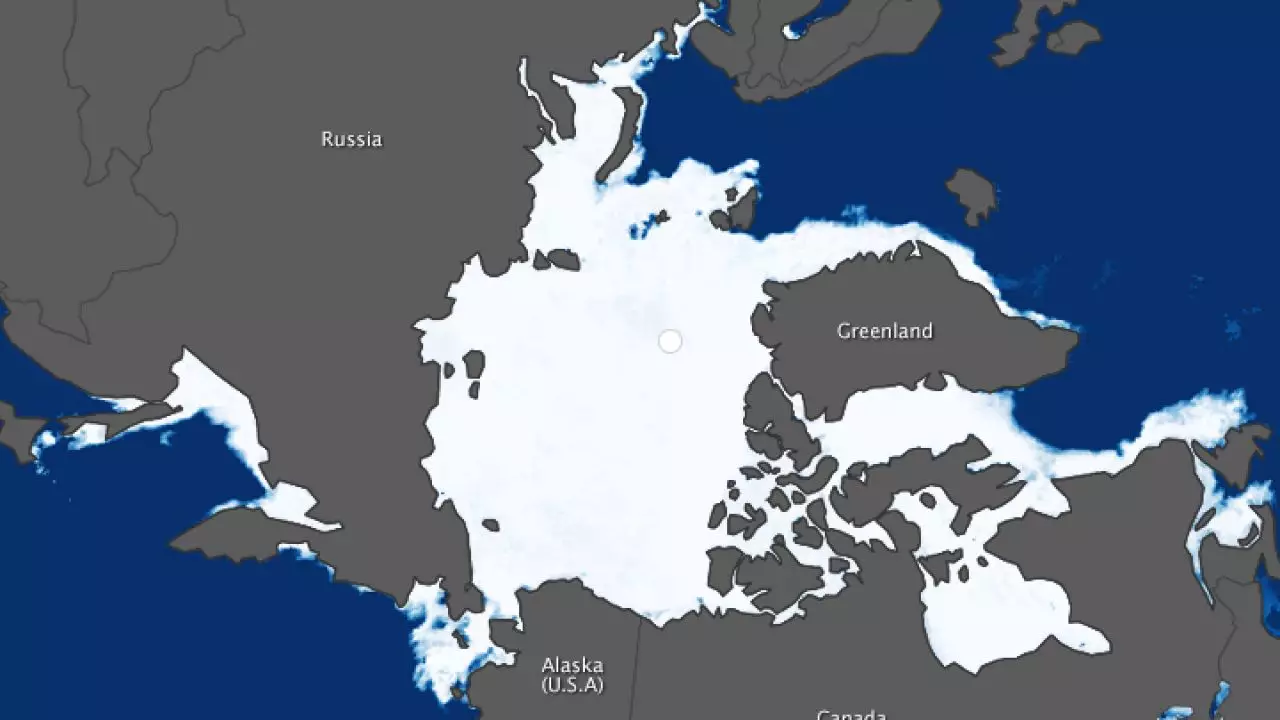 Arkties jūros ledas šią žiemą pasiekė keturiasdešimt metų žemumą