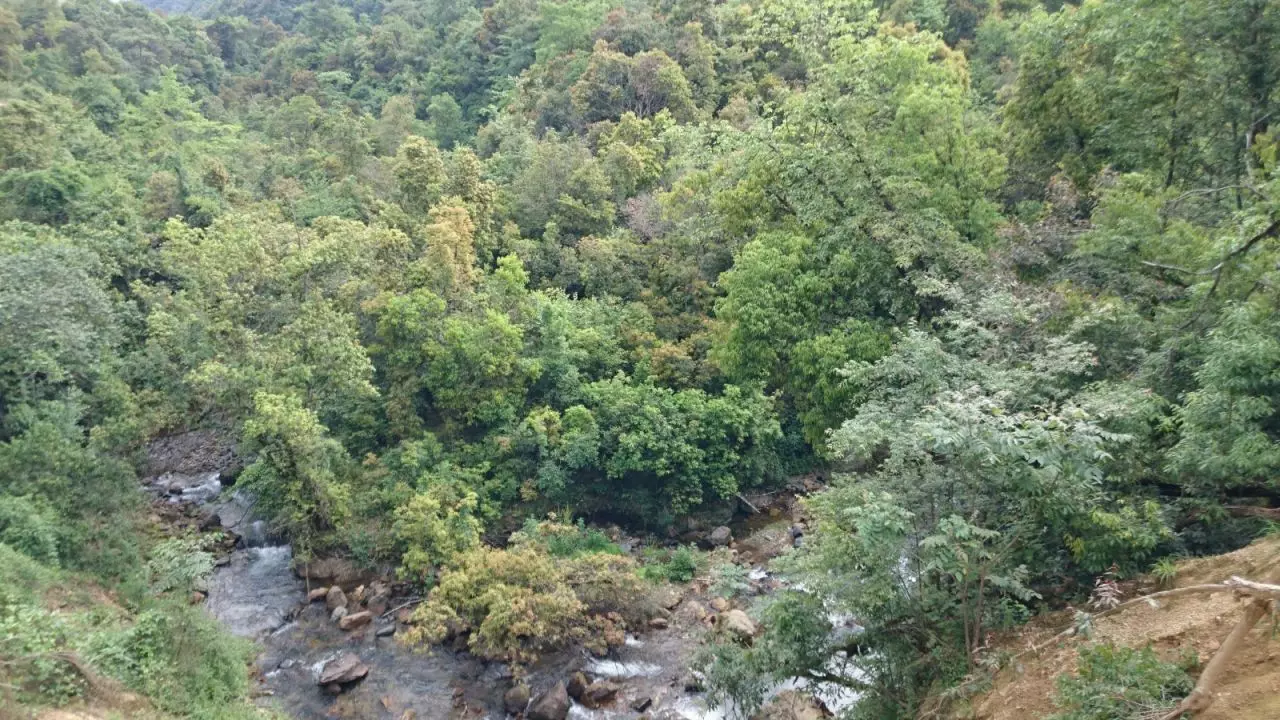 Li Çînê Cureyên Nû yên Dilkêş ên Difirin Hat Kifşkirin