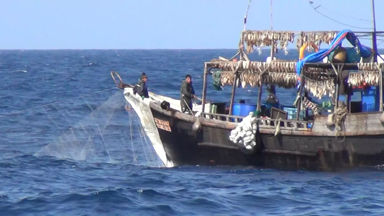 Boti za Uvuvi za China Zilichukua Nusu ya Dola Bilioni za Squid Haramu kutoka Korea Kaskazini, Lakini Zilipatikana na Satelaiti.